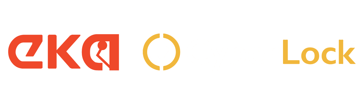 CyberAudit Web | Simplified System Management | EKA CyberLock